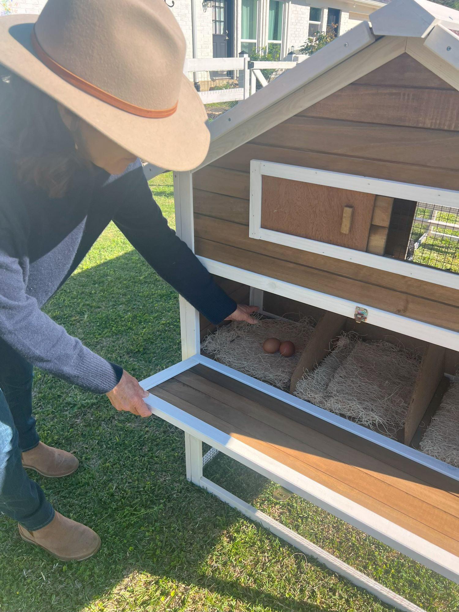 Zylina 24 Square Feet Chicken Coop with Nesting Box For Up To 8 ...