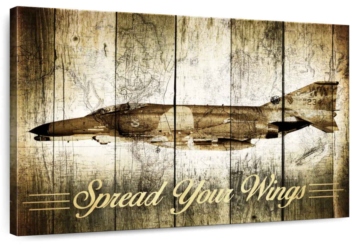 Ebern Designs Mehar Grunge Fighter Jet | Wayfair