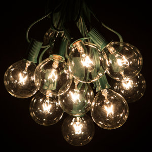 Arlmont & Co. Renfro Outdoor 25 - Bulb 25'' Plug-in String Lights ...