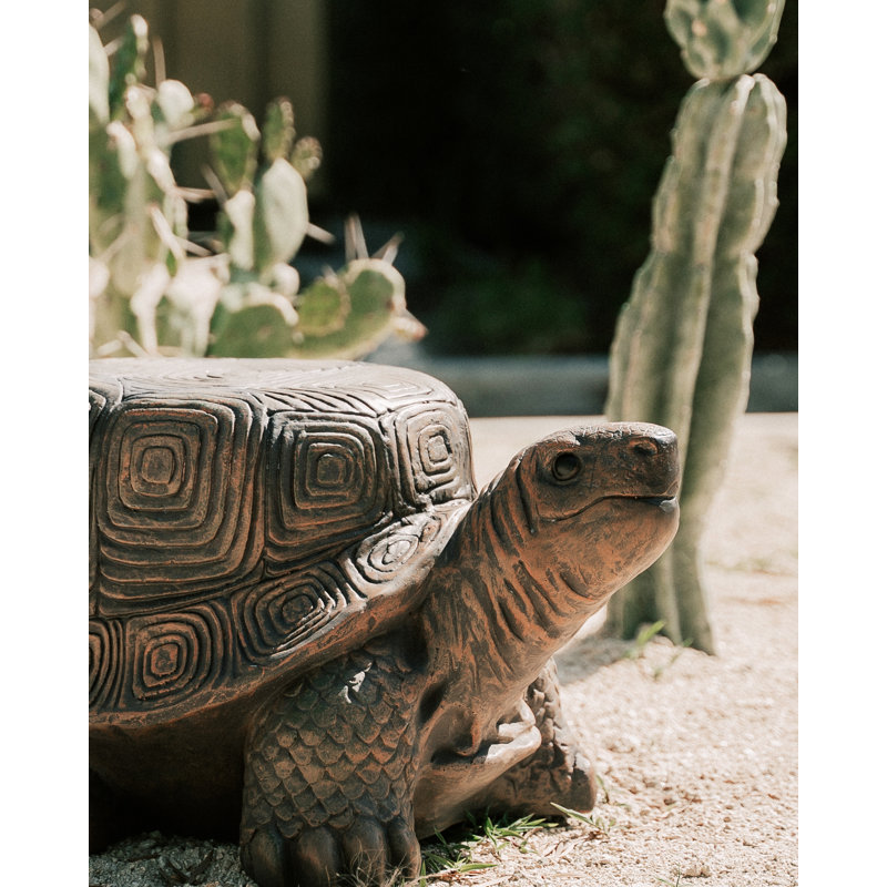 Bayou Breeze Yateley Turtle / Tortoise Magnesium Oxide Garden Statue ...