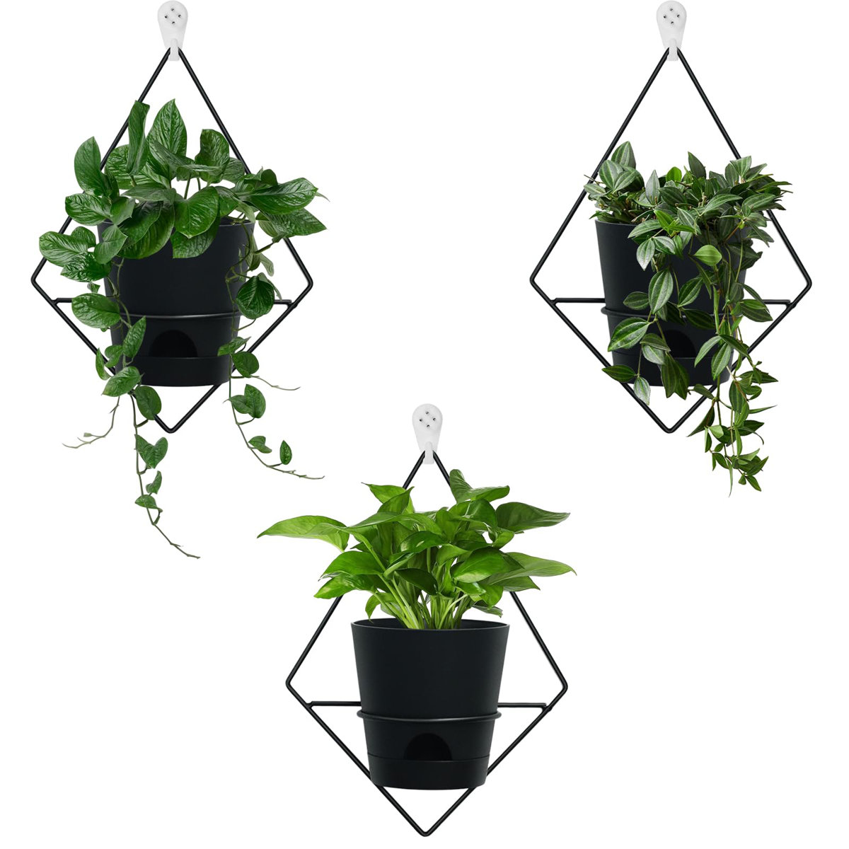 Latitude Run® 3 Sets Of Wall Planters, Hanging Wall Planter With Black ...