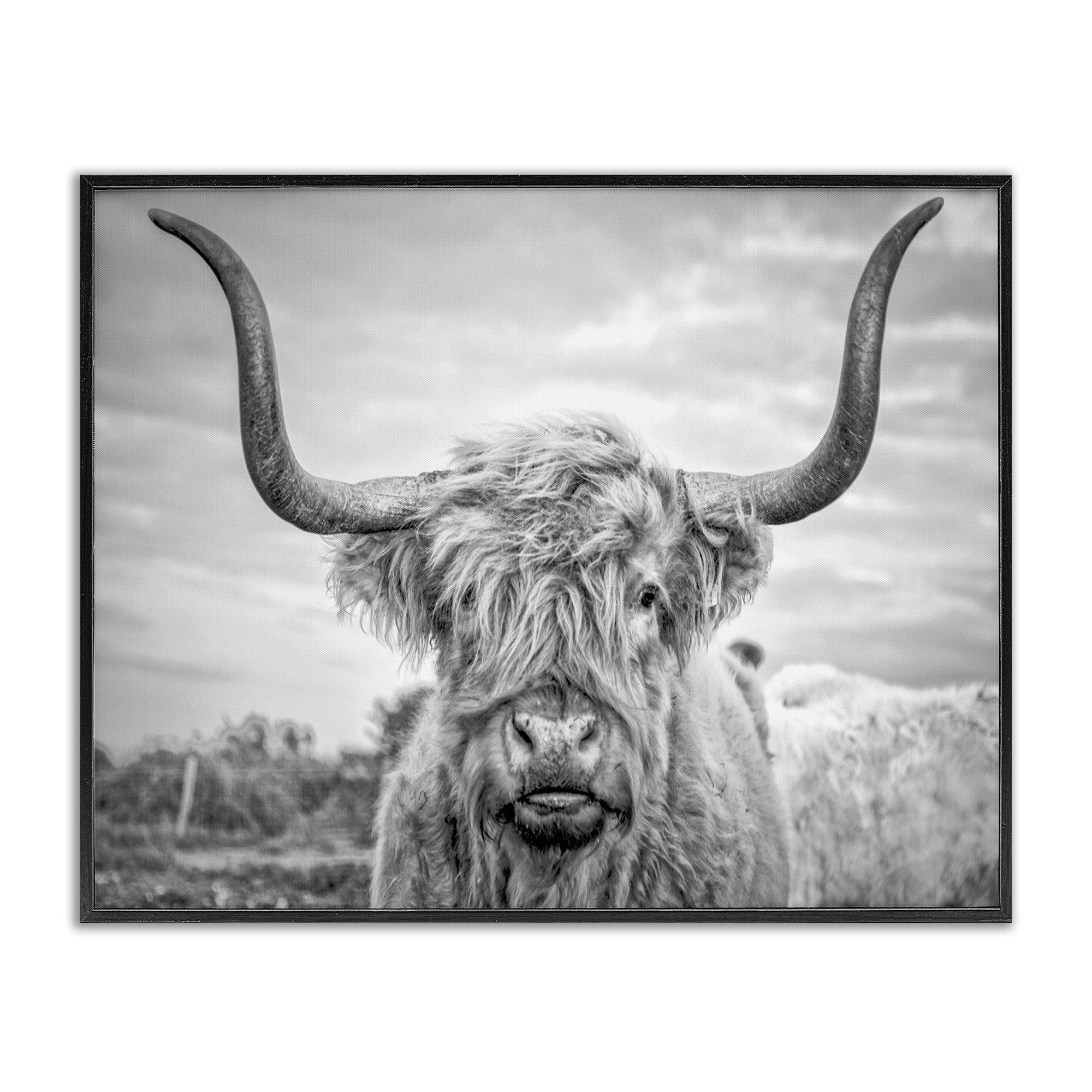 Union Rustic Highland Cow - Picture Frame Photograph Print on Canvas ...