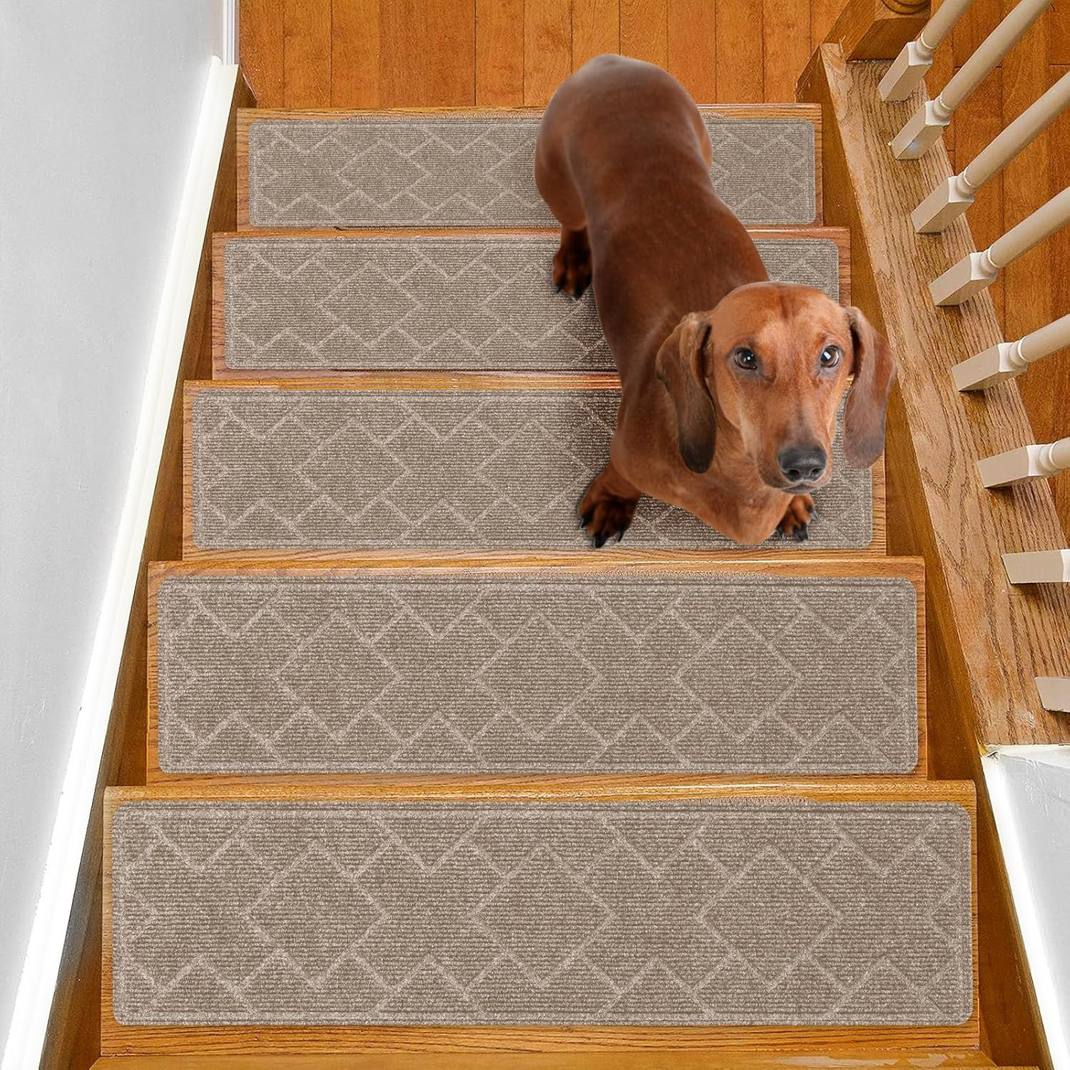 Hokku Designs Carpet Stair Treads for Wood Stairs | Wayfair