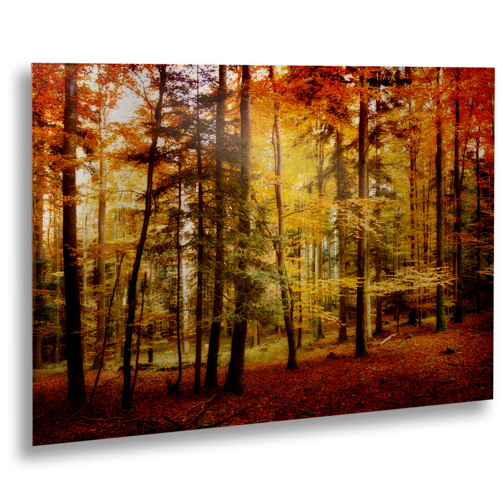 Millwood Pines Fadel Fall Color' by Philippe Sainte-Laudy Painting ...