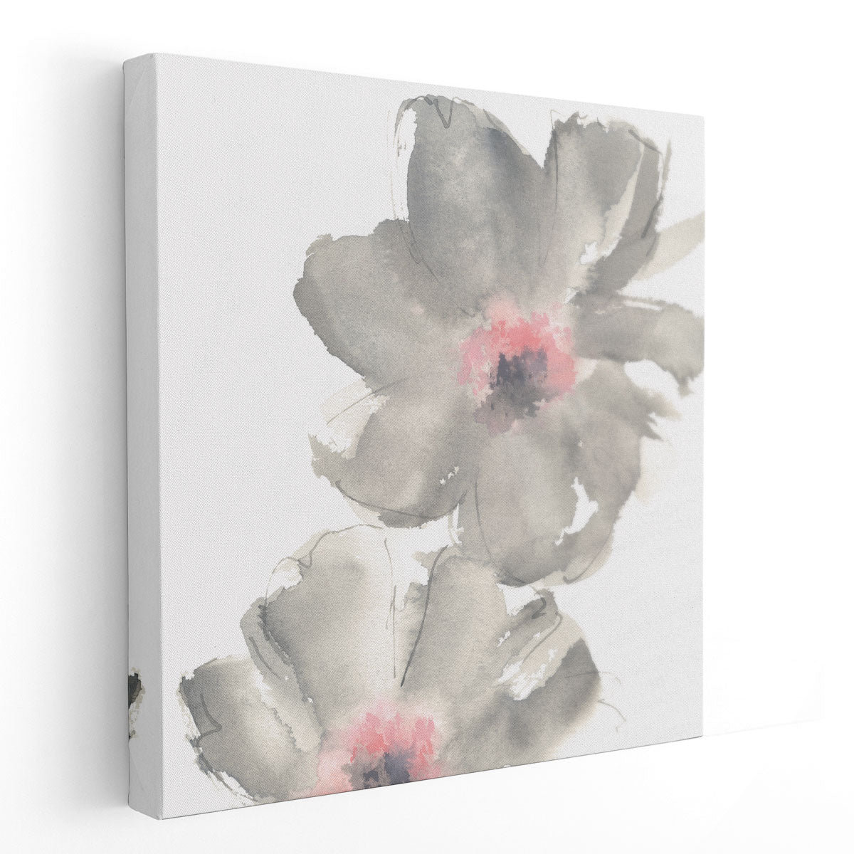 Winston Porter Gray Blush Cosmos II on White - Canvas Print Wall Art ...