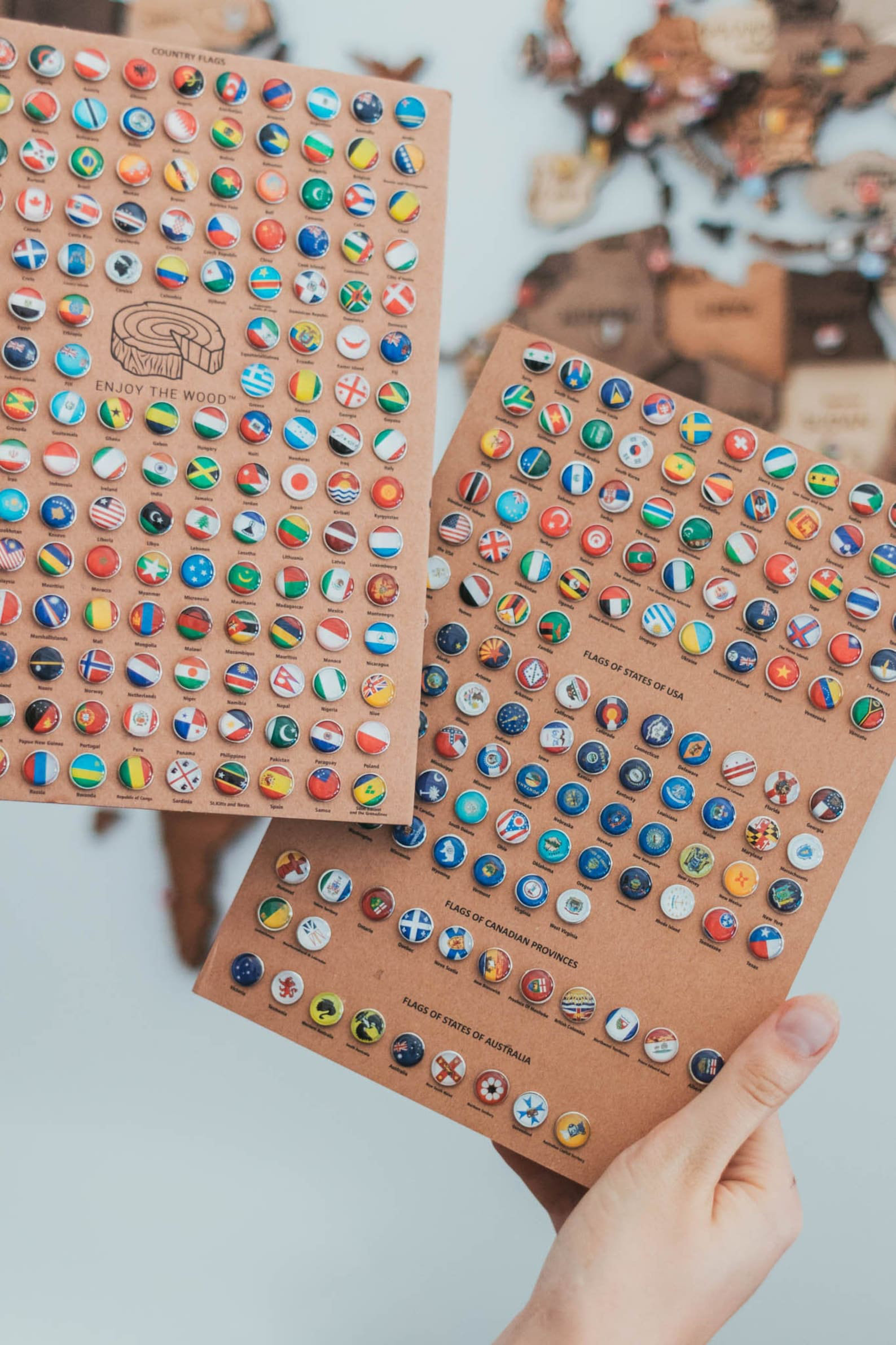 Enjoy The Wood 40 Piece Flags Push Pins Wall Décor Set | Wayfair