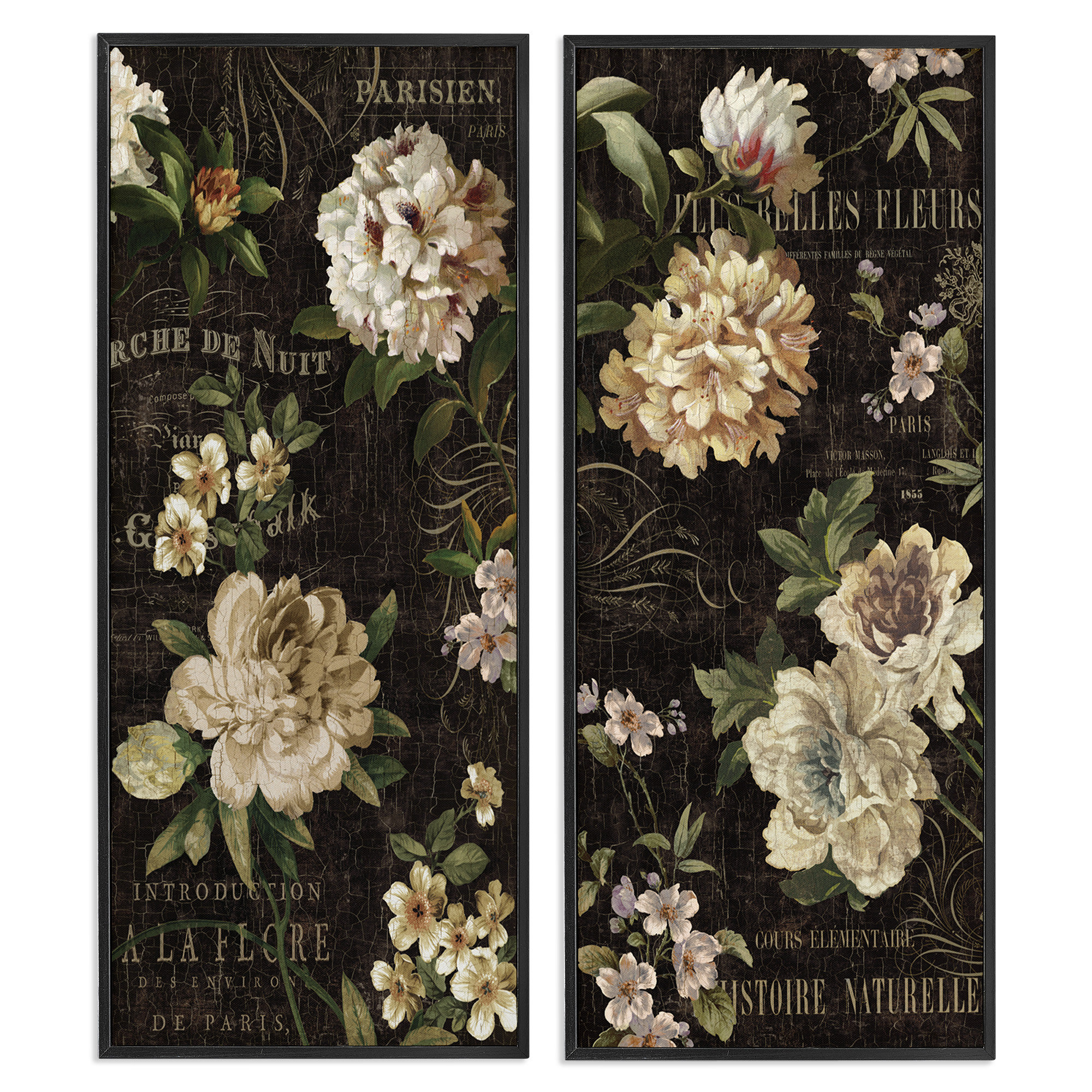 Stupell Industries Vintage French Flowers by Sally Swatland - 2 Piece ...