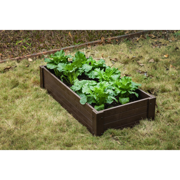 Latitude Run® Wilsmere Raised Garden Bed | Wayfair