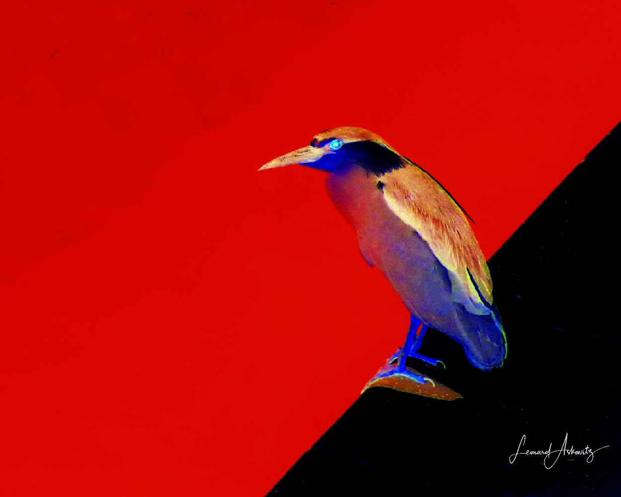 Made & Curated Little Blue By Leonard Askowitz | Wayfair