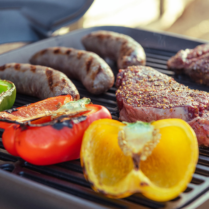 Nexgrill Single Burner Liquid Propane Gas Grill & Reviews | Wayfair