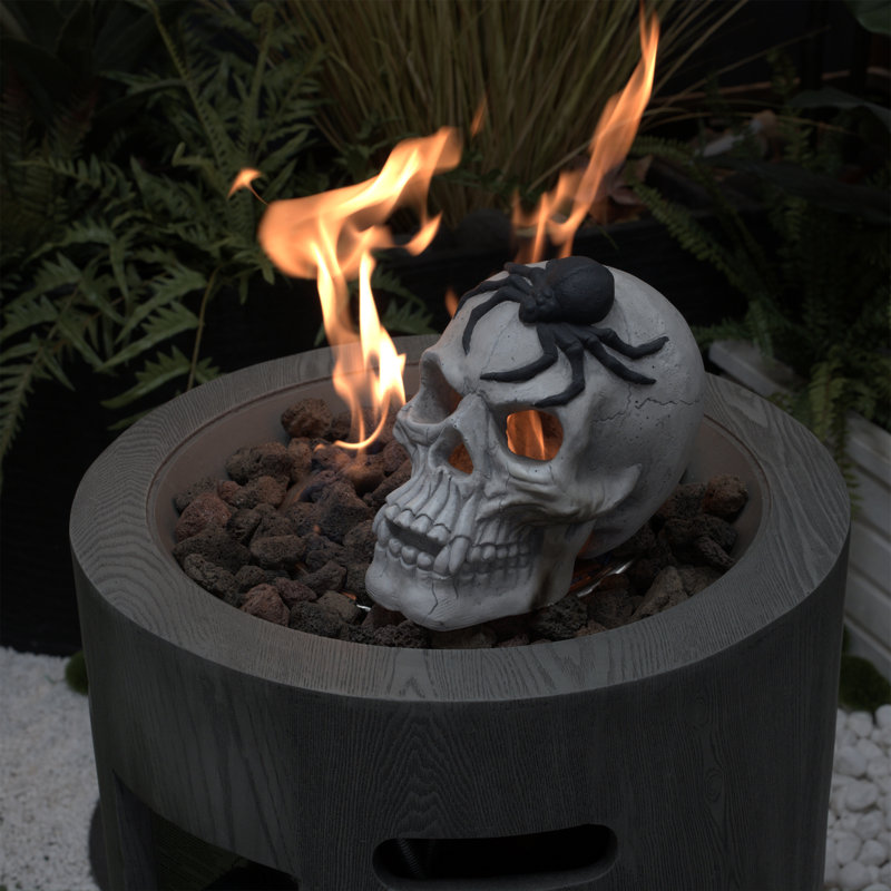 Trinx Braylon Fireproof Demon Skull Decoration for Fire Pits | Wayfair