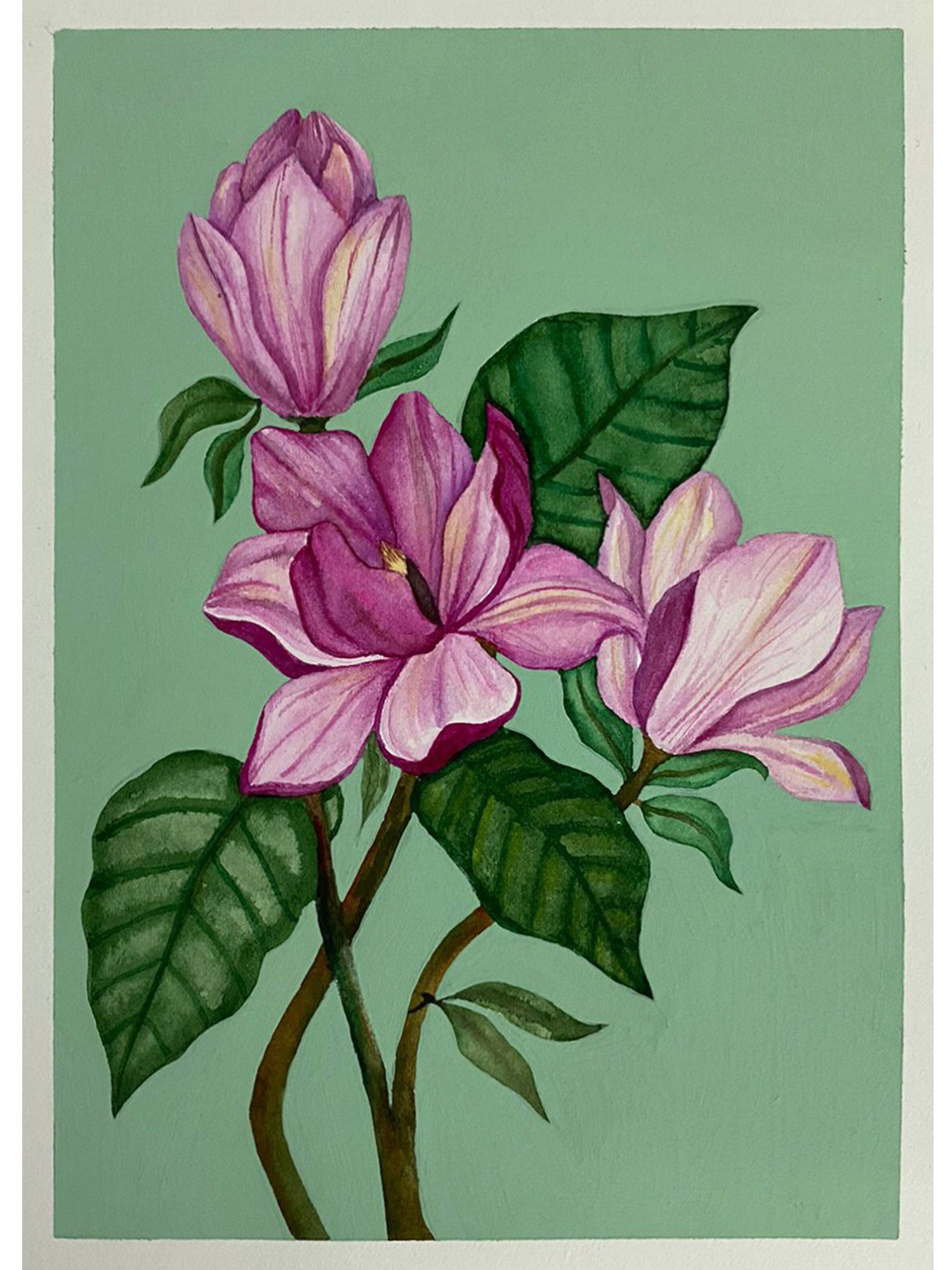 Wildon Home® Magnolia Liliiflora | Watercolor & Gouache On Paper | By ...