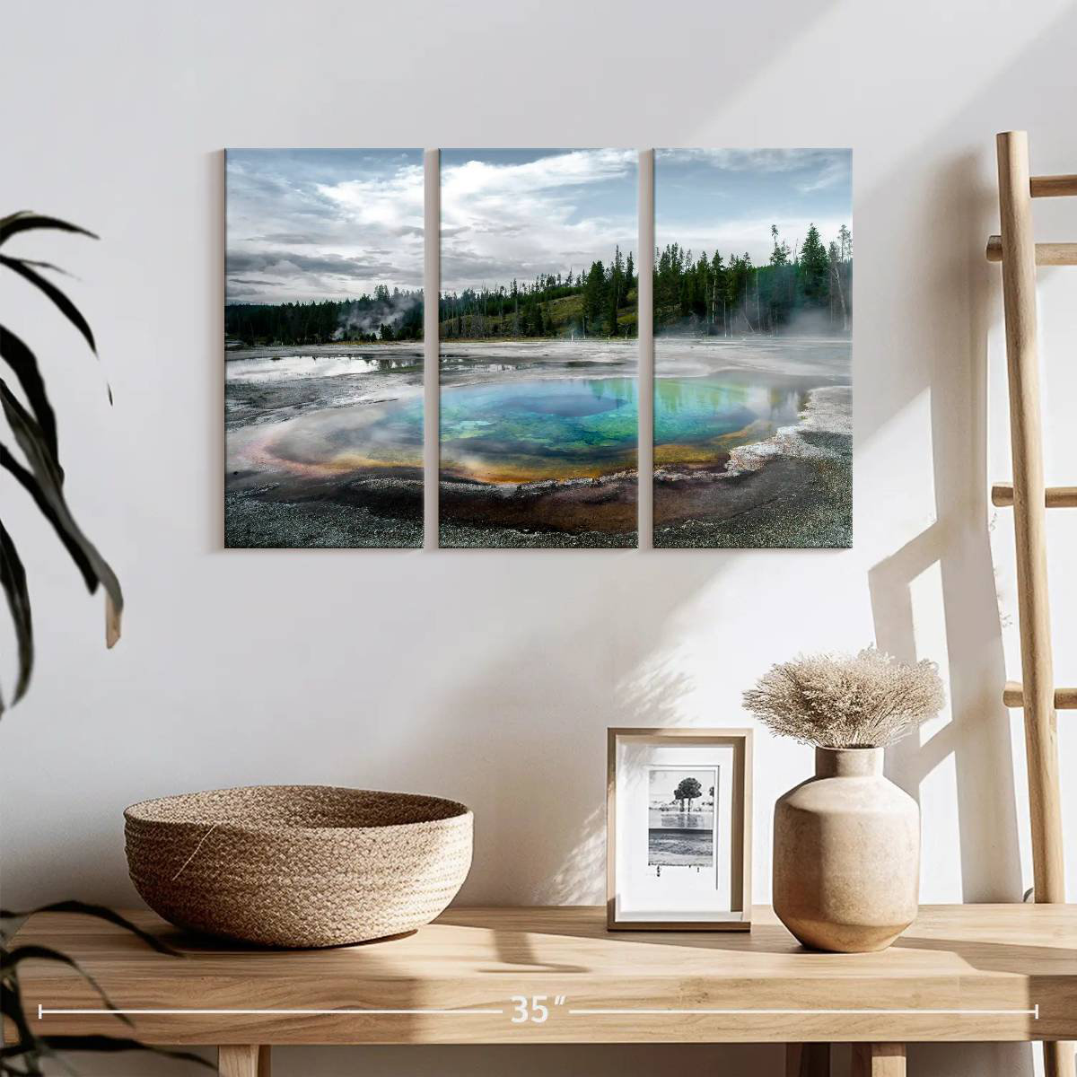 Millwood Pines Alvord Thermal Basin In Yellowstone | Wayfair