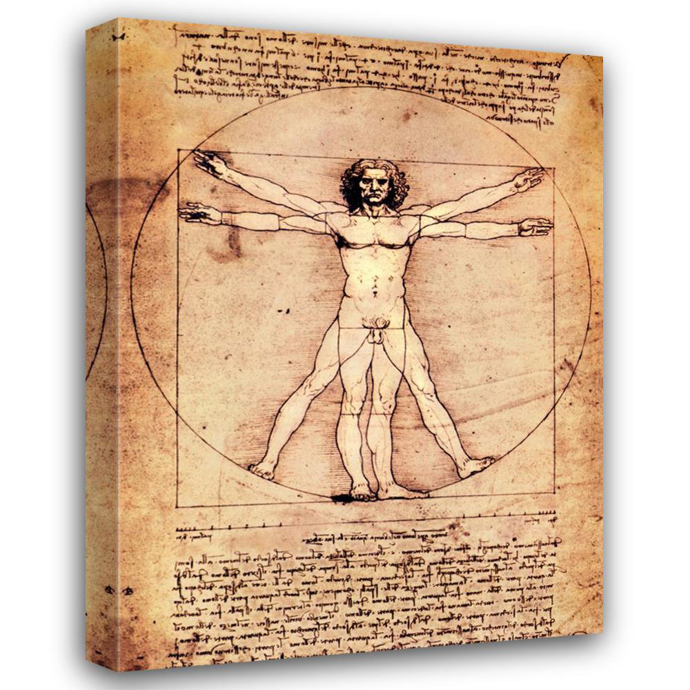Astoria Grand Vitruvian Man, 1492 | Wayfair