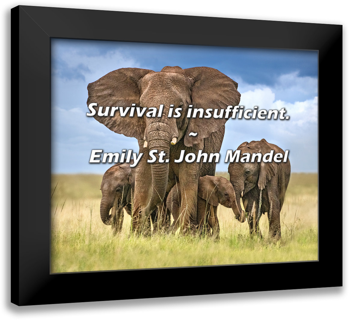 Latitude Run® Emily St. John Mandel Quote: Survival is insufficient ...