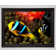 Bright Star Neon Clown Fish - Single Picture Frame Art Prints | Wayfair ...