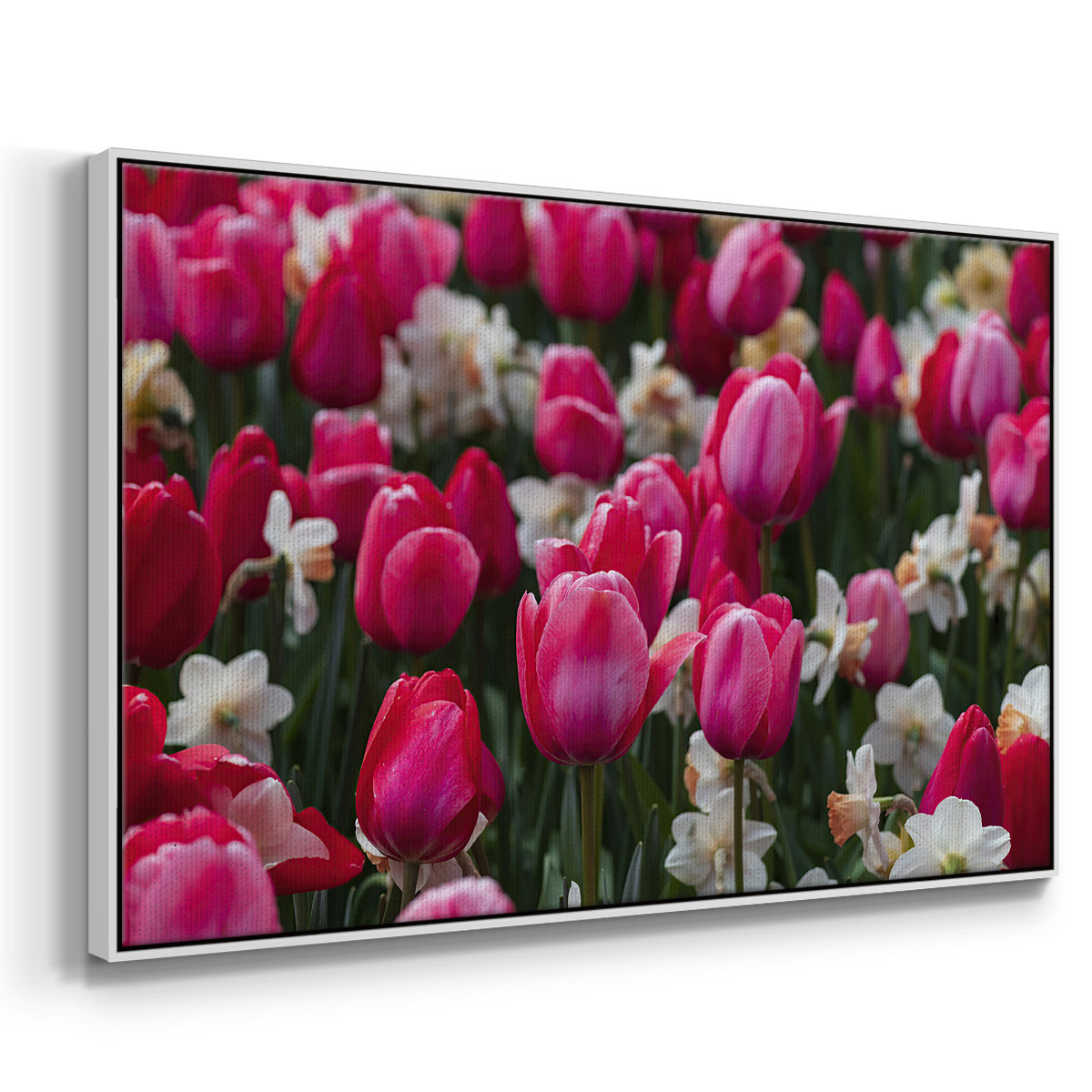 Wexford Home Looks Like Spring Framed On Canvas Print | Wayfair