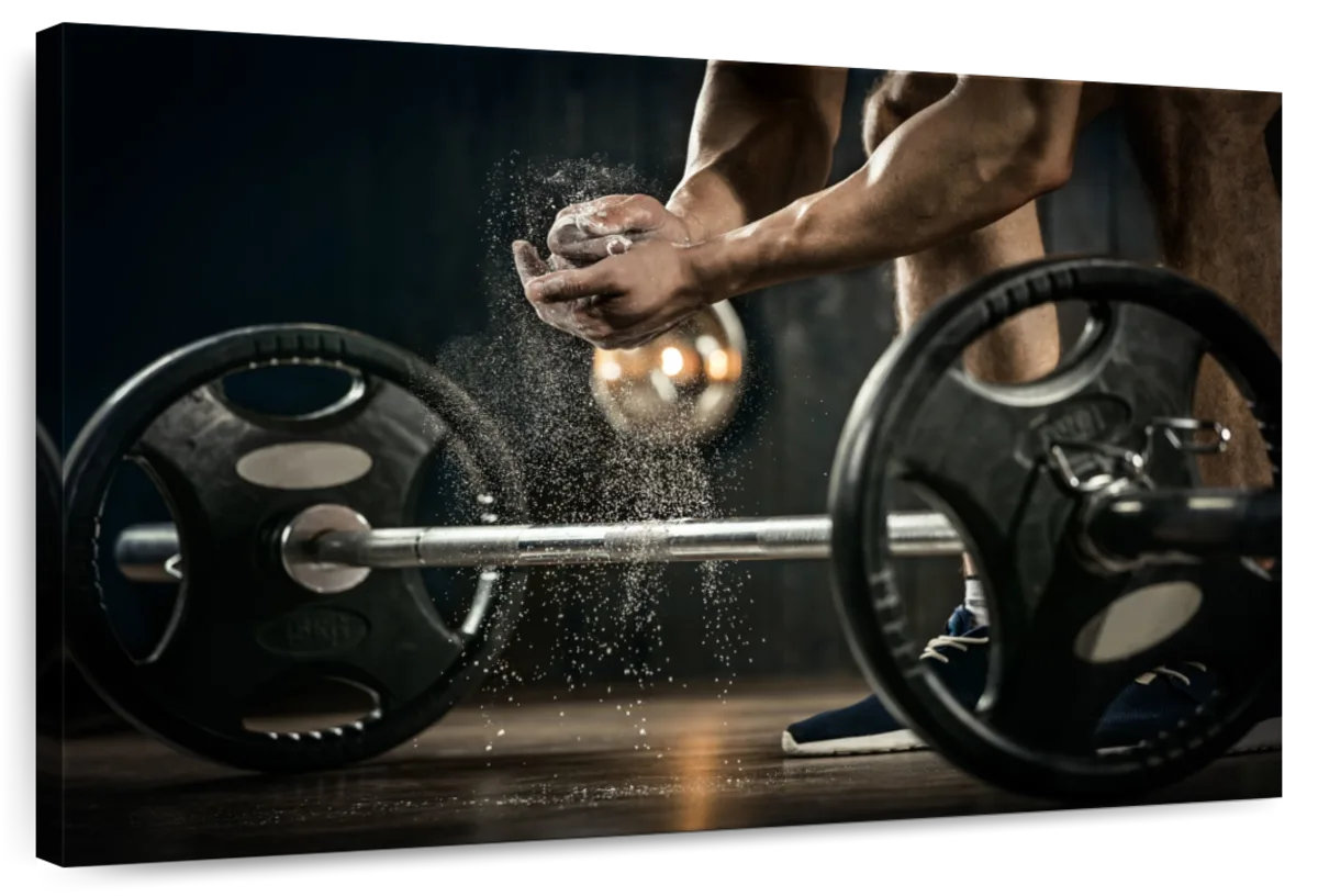 Ebern Designs Sireci Fitness Barbell - Wayfair Canada