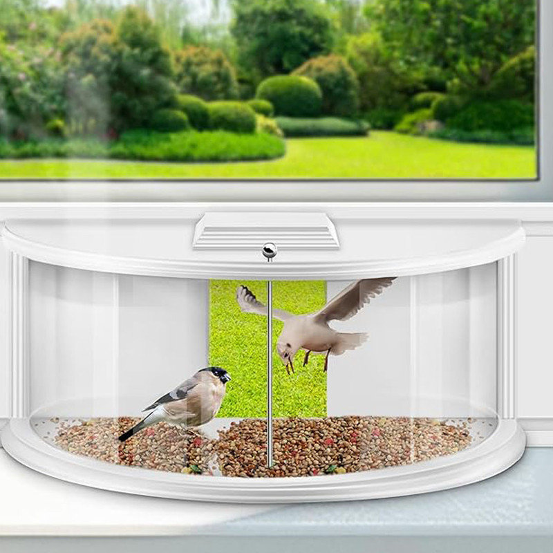 bird house viewing window