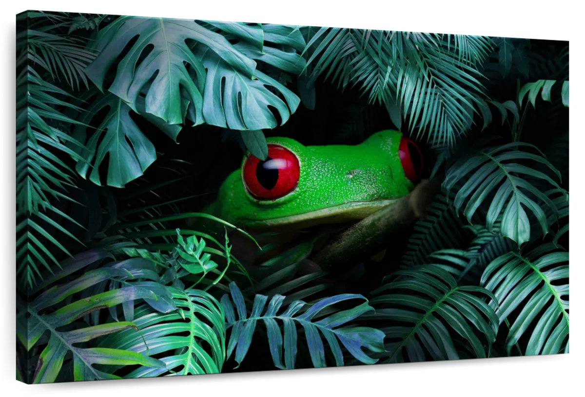 Bayou Breeze Tropical Tree Frog | Wayfair