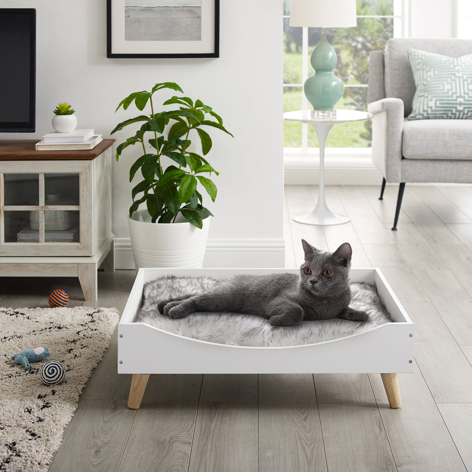 Sam's Pets Chauncy Rectangle Cat Bed & Reviews | Wayfair