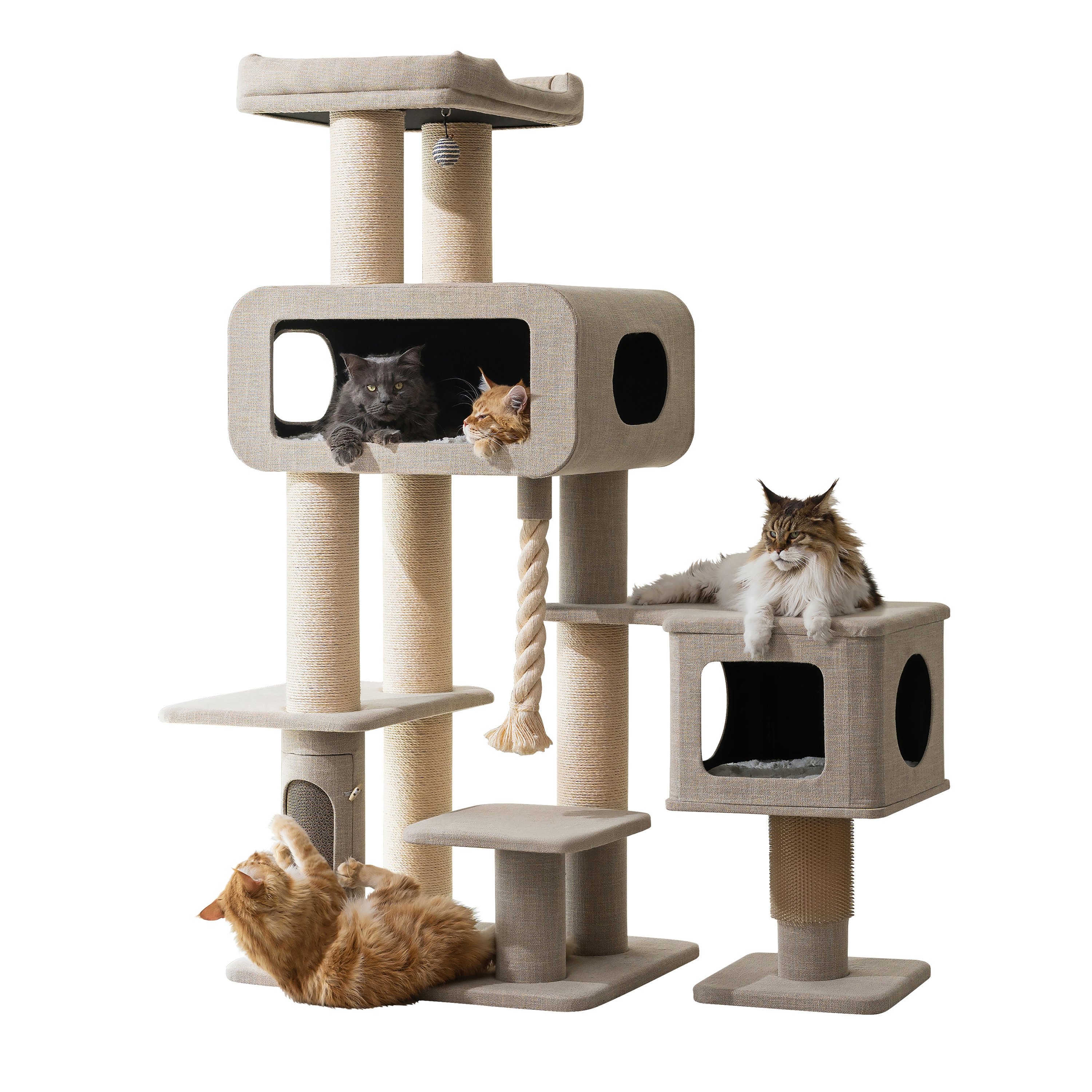 PetPals 71” Grand Maine Coon™ Cat Tree – Ontario & Reviews | Wayfair