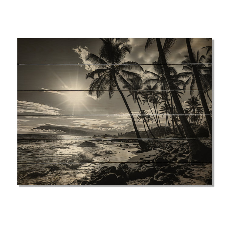 Bay Isle Home Hawaii Balck And White Shadows Of Aloha II On Wood Print ...