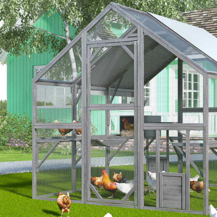 Tucker Murphy Pet™ Eather Chicken Run & Reviews | Wayfair