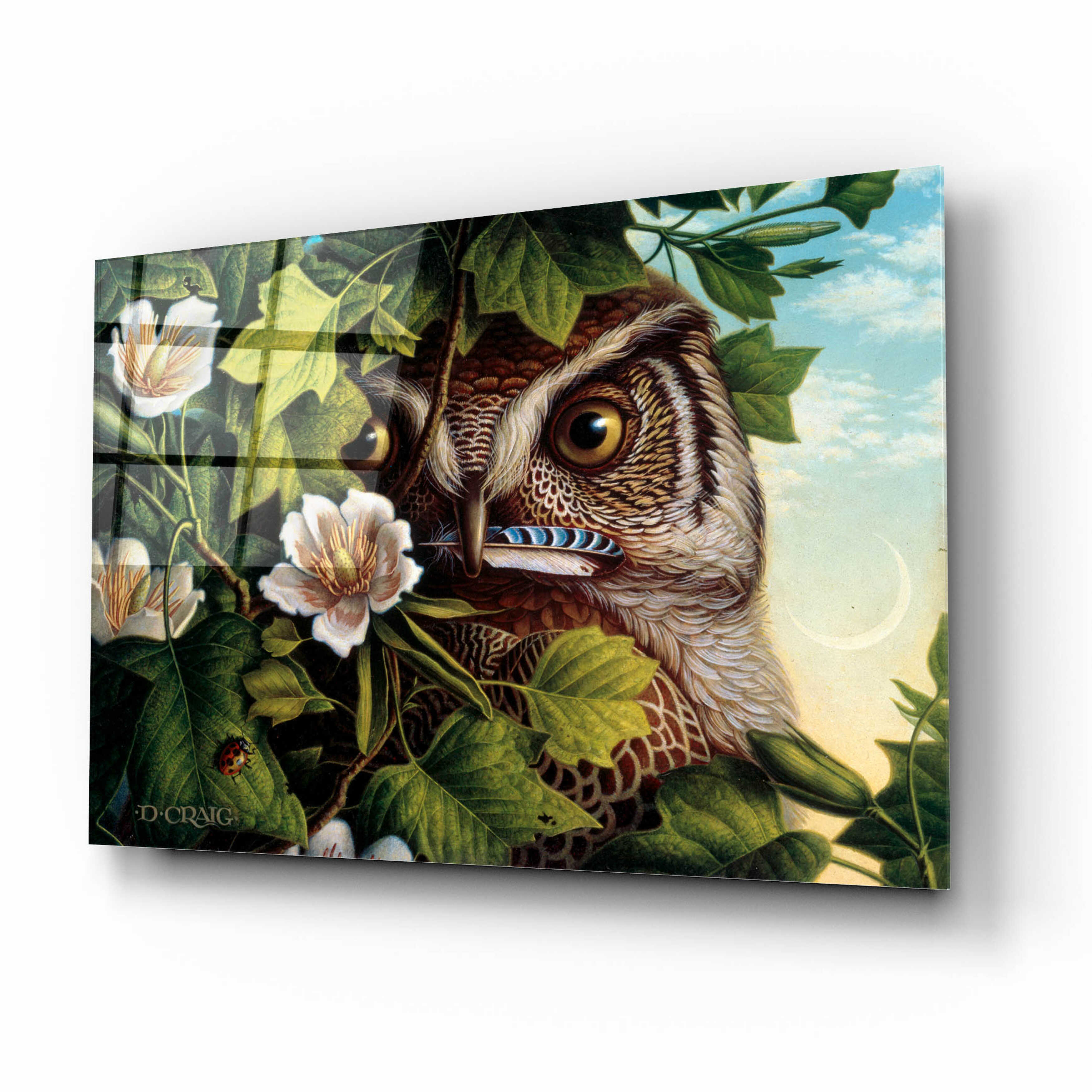 Red Barrel Studio® '048 Owl' By Dan Craig Acrylic Glass Wall Art ...
