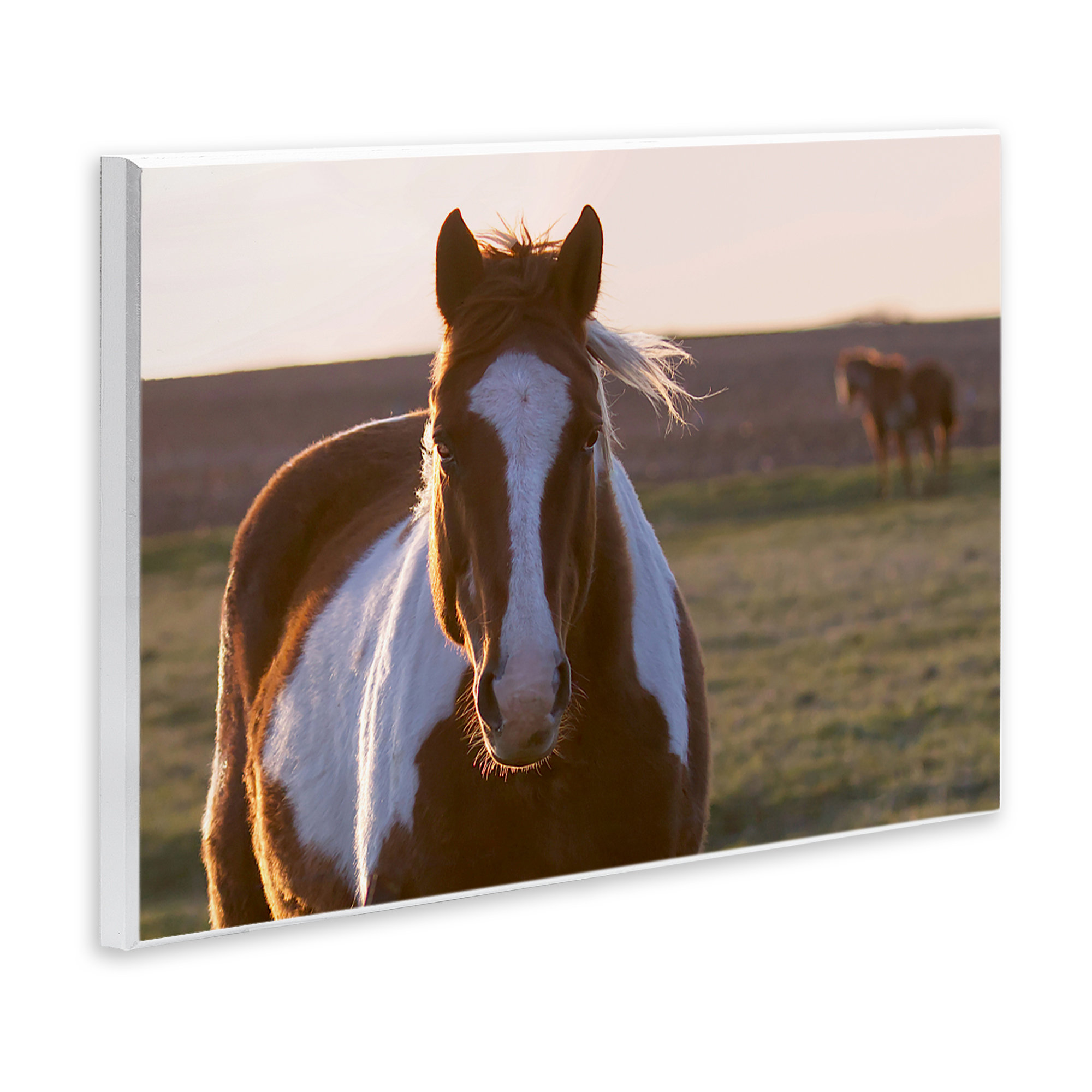 Ophelia & Co. Spotted Horse in Rural Countryside Wall Plaque Art ...