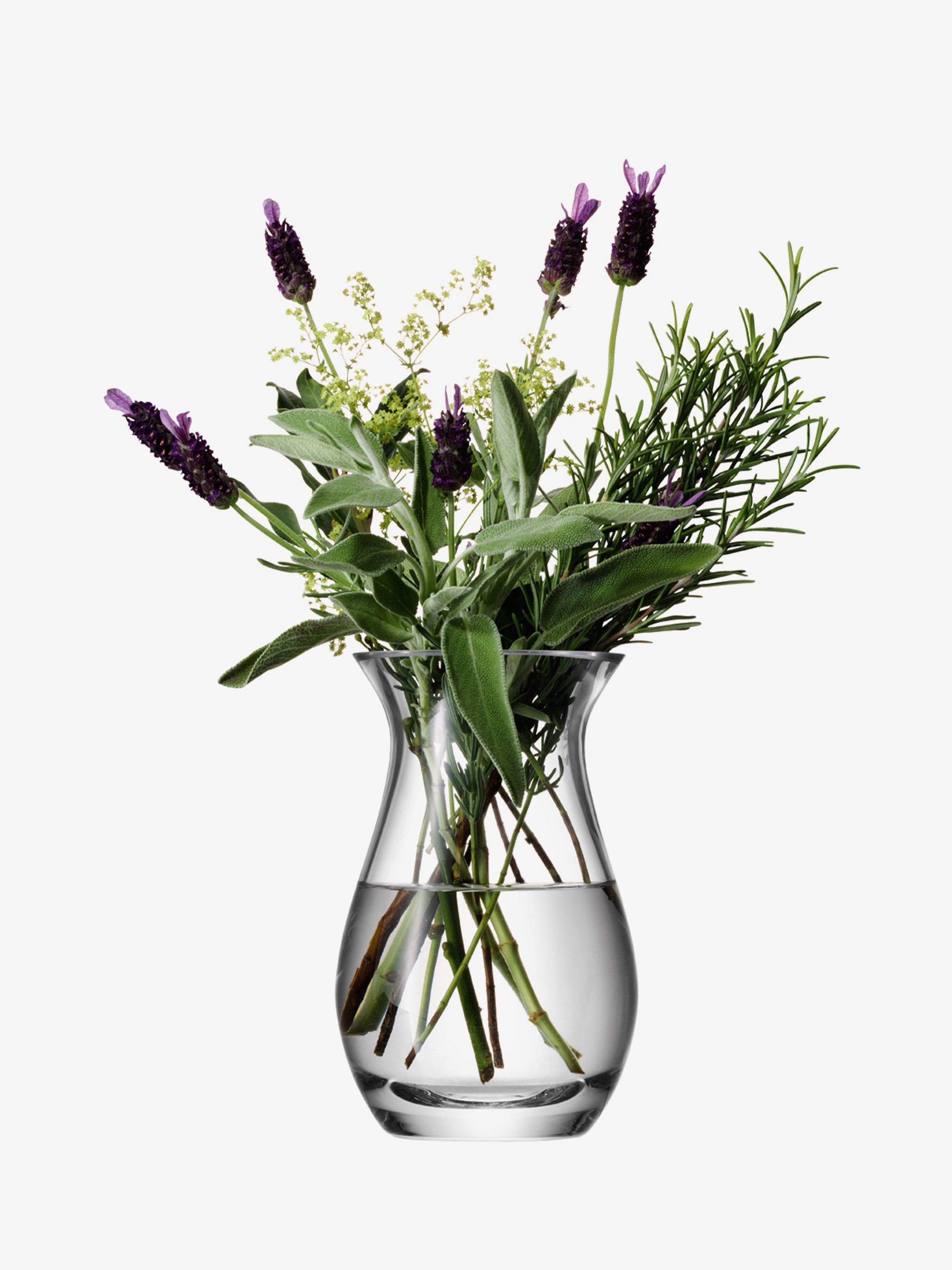 LSA International Clear Glass Table Vase Jar | Wayfair