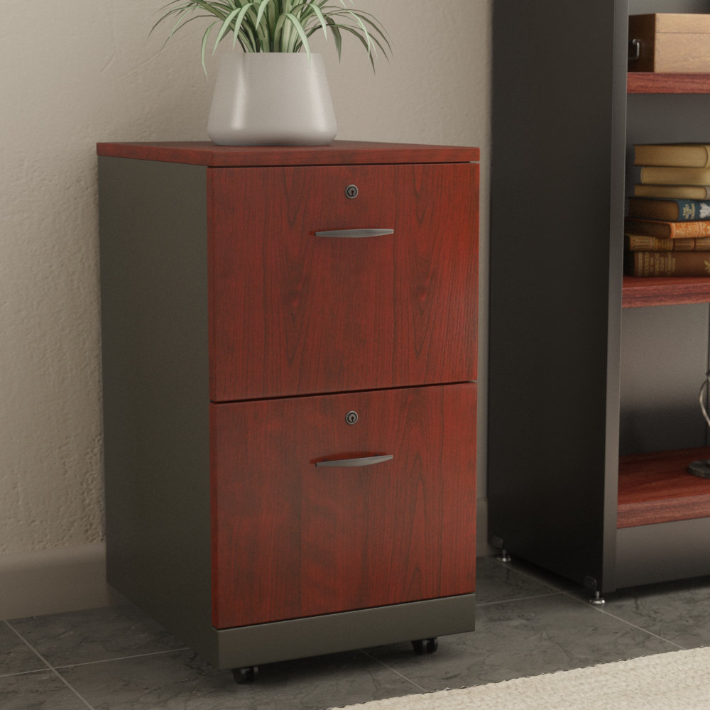Red Barrel Studio Castalia 2-Drawer Vertical Filing Cabinet & Reviews ...