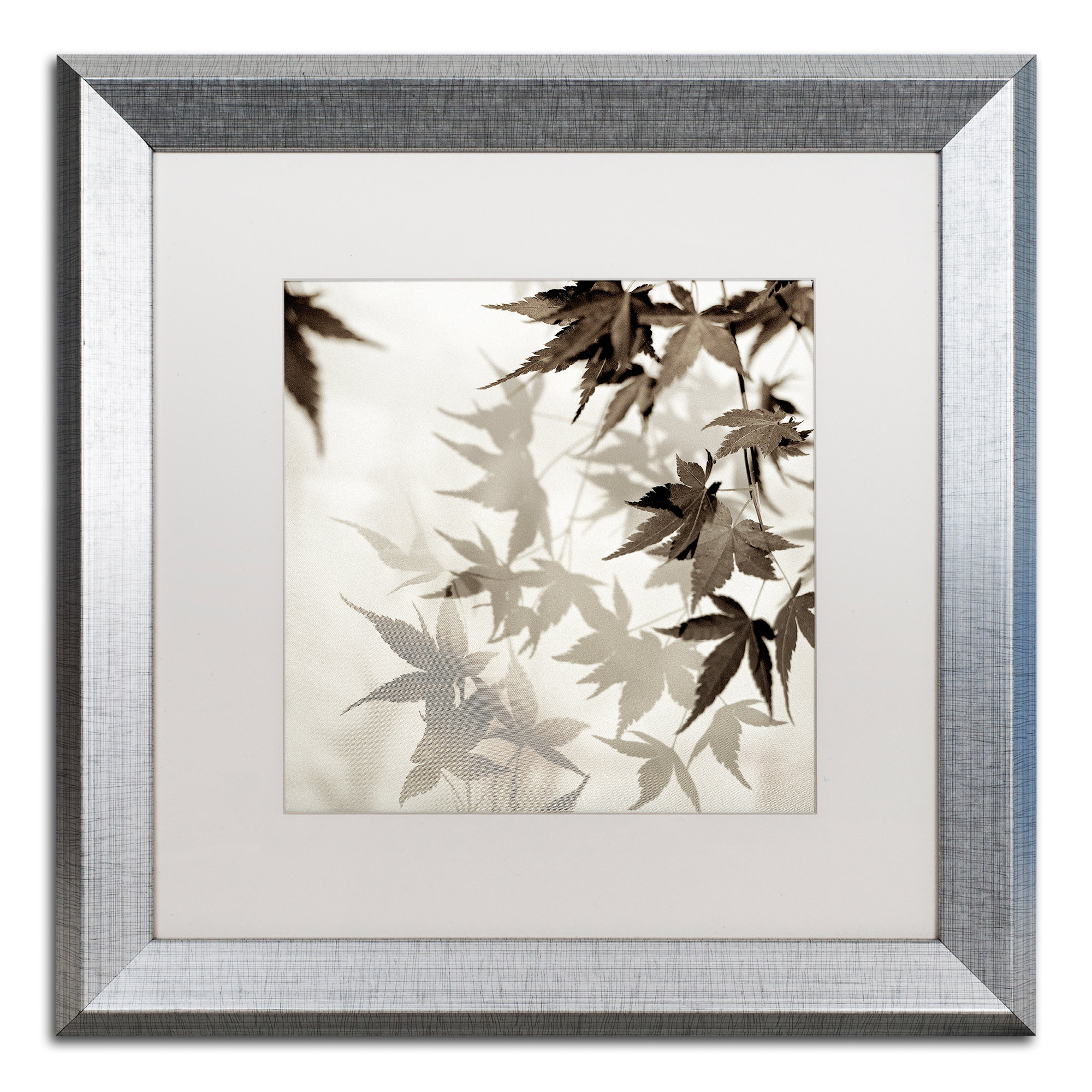 Ebern Designs Alan Blaustein 'Florison LVII' Framed Photographic Print ...