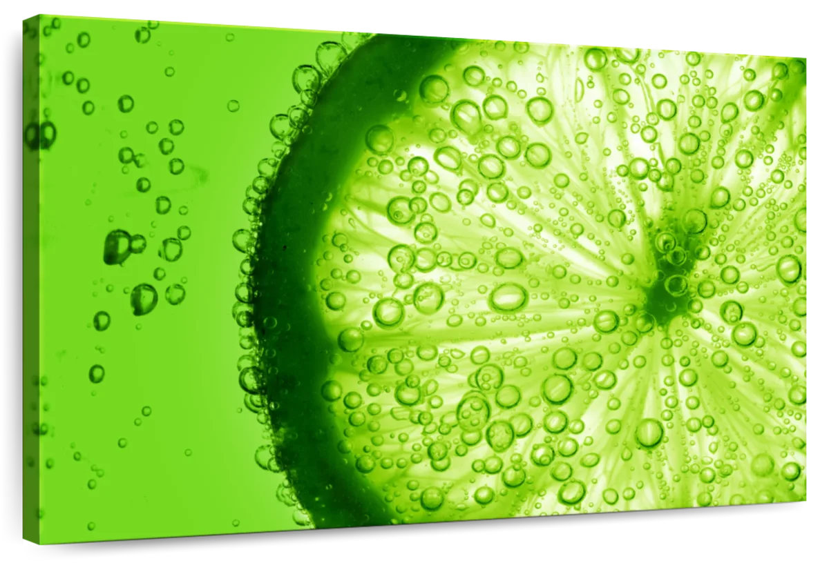 Elephant Stock Lime Slice | Wayfair