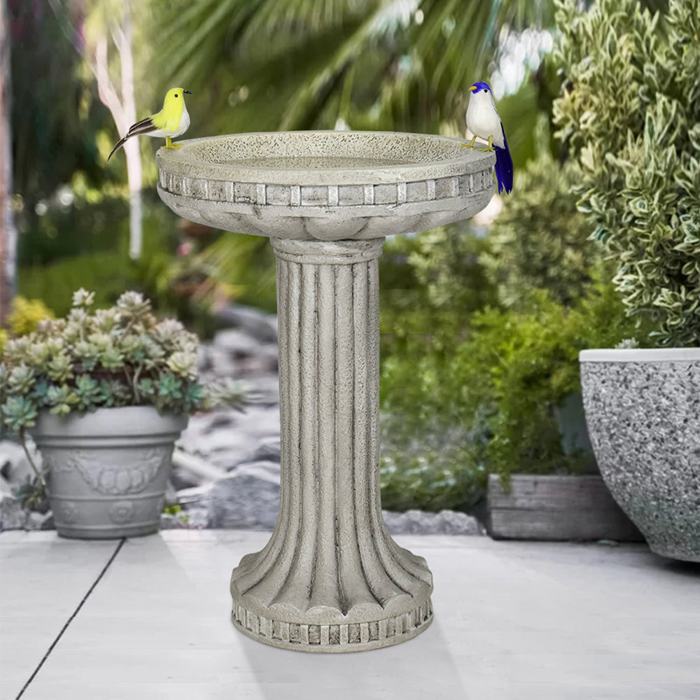 Red Barrel Studio Outdoor Bird Bath Fibre Reinforced Concrete Large ...