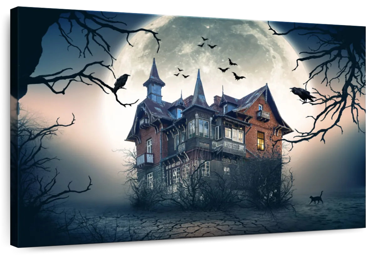 Millwood Pines Horror House | Wayfair