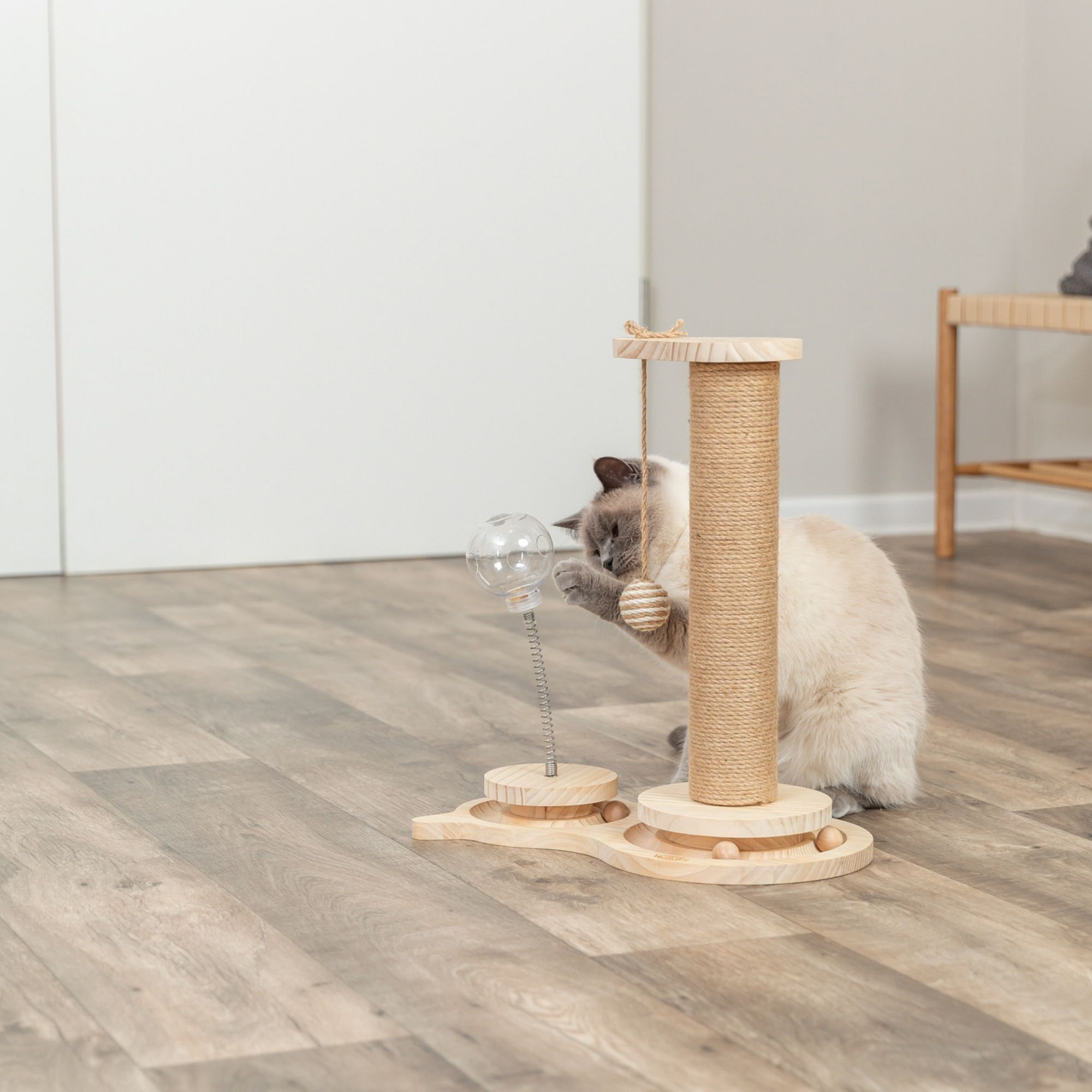 Tucker Murphy Pet™ Oliver Interactive Cat Scratching Post w/ Treat Cup ...