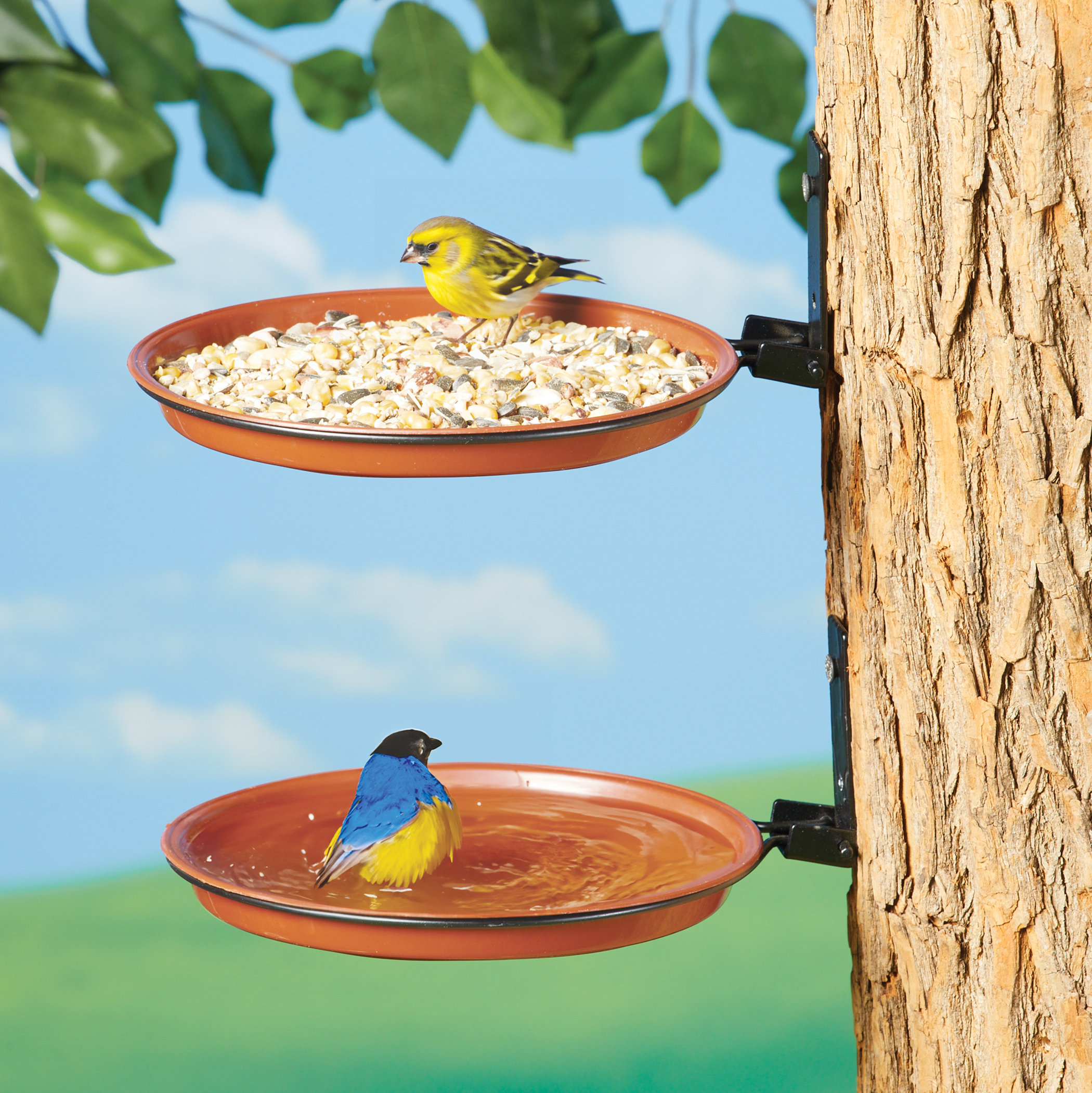 Winston Porter 2-Piece Mounted Bird Feeder Bowls Set | Wayfair