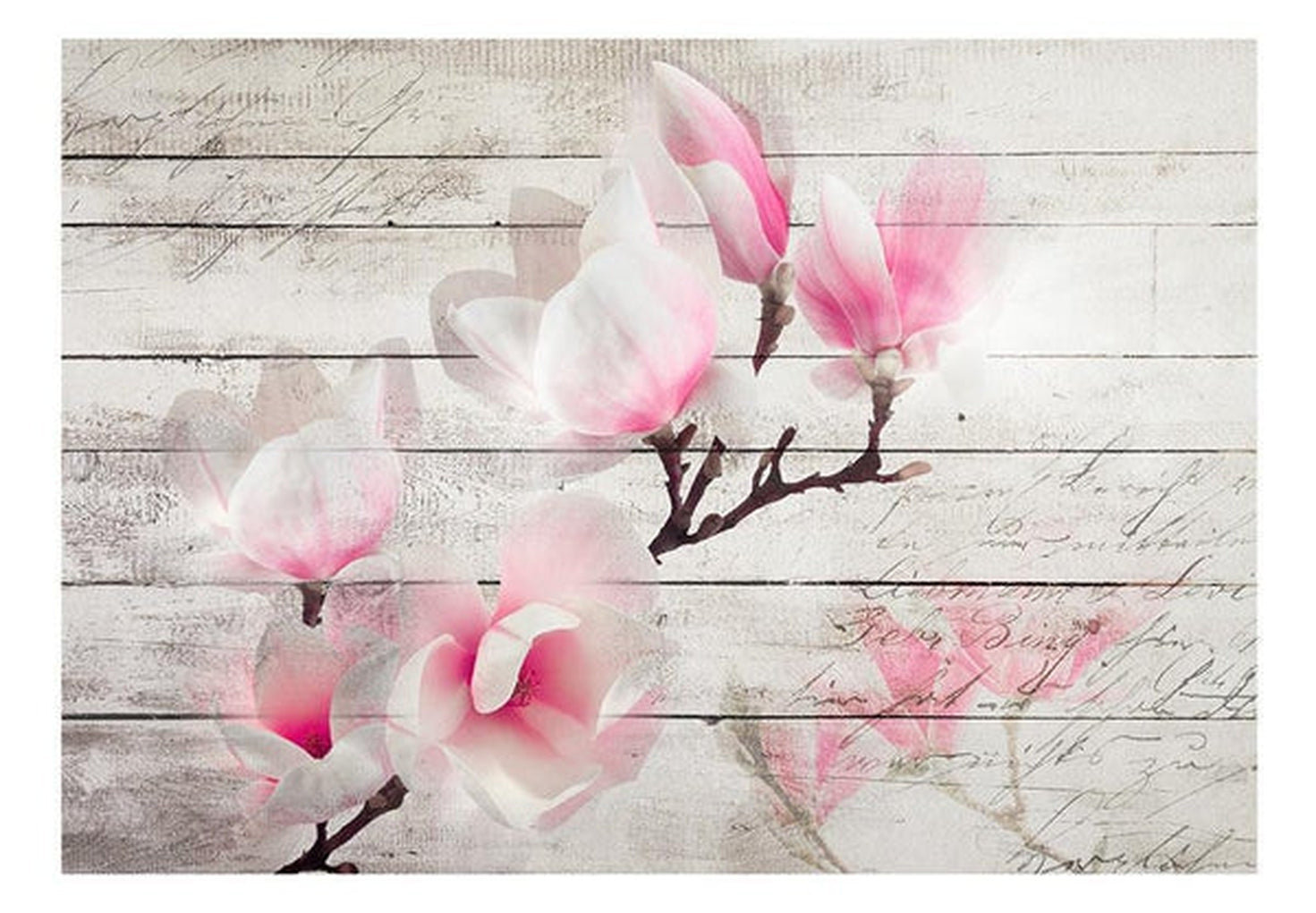 Fly Trend King, LLC Wall Mural - Mildness of the Magnolia - Wayfair Canada