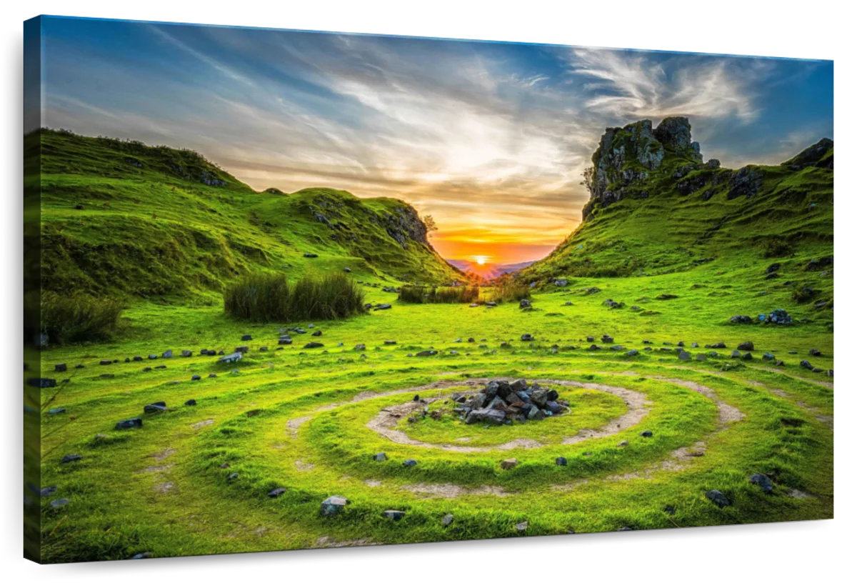 Elephant Stock Spinning Nature Landscape | Wayfair