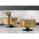 Phillips Collection Clover Chamcha Wood Coffee Table | Perigold