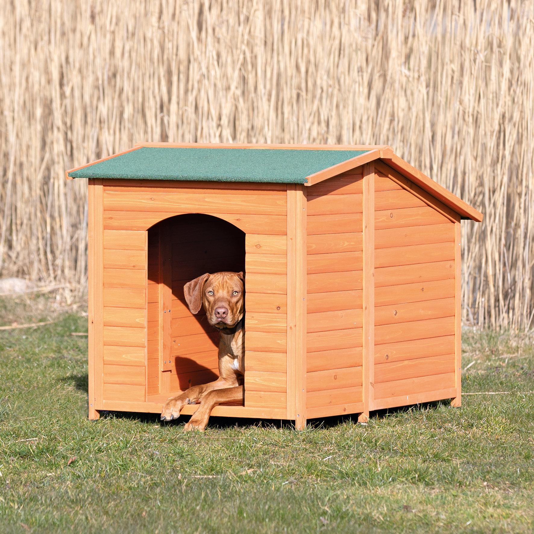 TRIXIE Club Dog House Brown Xxl & Reviews - Wayfair Canada