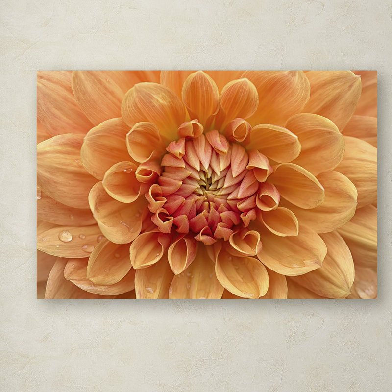 Wade Logan® 'Orange Dahlia' Photographic Print on Wrapped Canvas ...