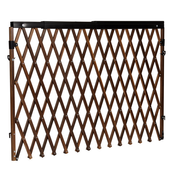 Evenflo Expansion Walk Thru Safety Gate & Reviews | Wayfair