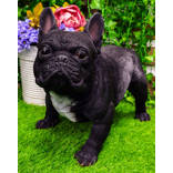 Red Barrel Studio® Handmade Animals Figurines & Sculptures & Reviews ...