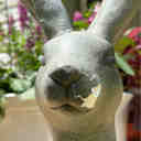 Wind & Weather Tall Sitting Bunny Statue & Reviews | Wayfair