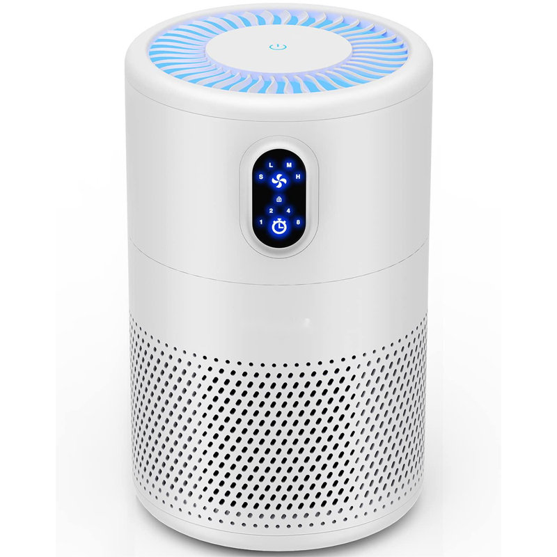 ColorLife Tabletop Air Purifier with HEPA Filter | Wayfair