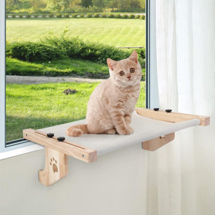 Cat Shelves & Perches | Wayfair