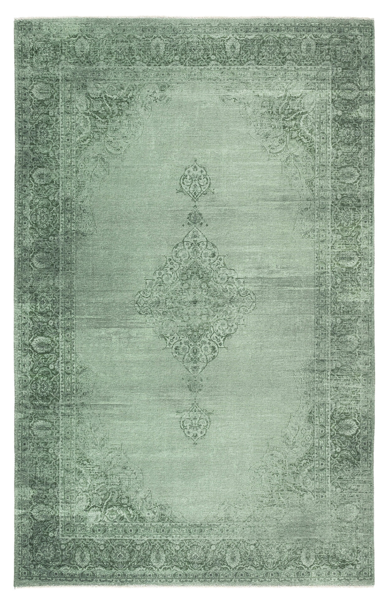 Astoria Grand Brockett Vintage Look Machine Made Green Area Rug ...