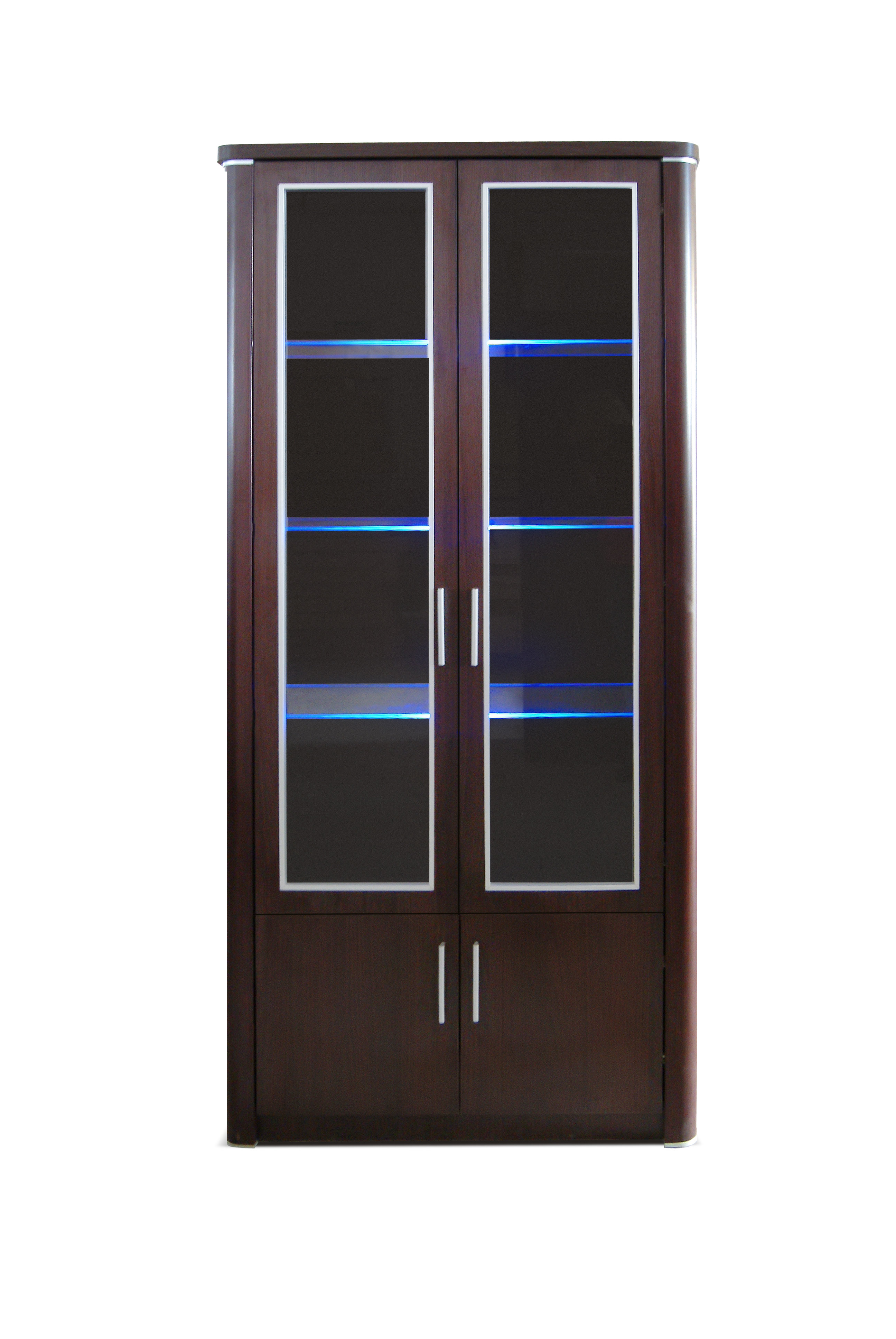 Orren Ellis LED Bookcase with Doors | Wayfair